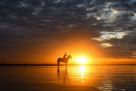 Data Driven Thoroughbred Innovators Wont Wait For An ‘industry Solution On Welfare