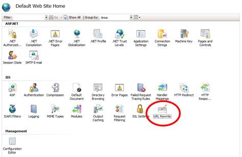 ignoring 1 0 requests in iis server fault