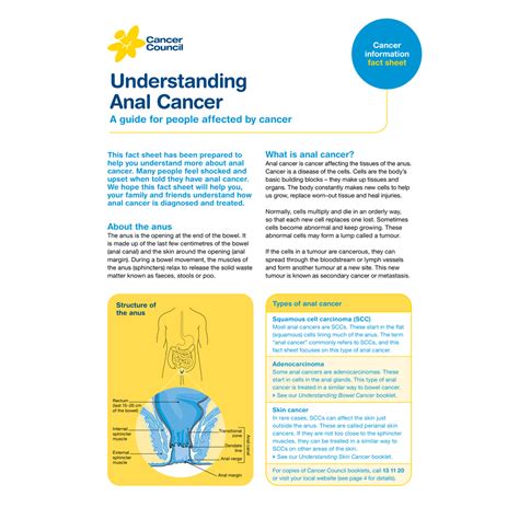 Understanding Anal Cancer Pdf Download Cancer Council Queensland