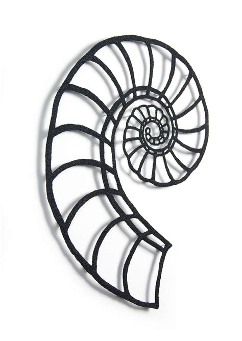 Spirula Shell — Meredith Woolnough