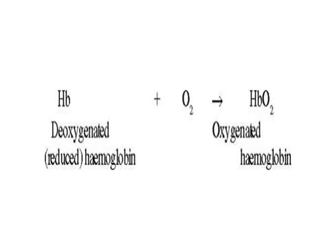 Haemoglobin Structure And Function Ppt