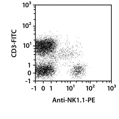 NK Cell Isolation Kit Mouse Miltenyi Biotec India