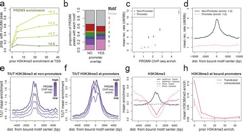 Figures And Data In A Map Of Human Prdm Binding Provides Evidence For Novel Behaviors Of Prdm
