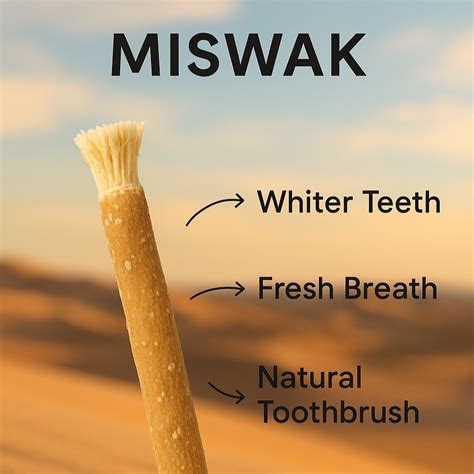 Ancient Miswak Toothbrush 1pc Healthyliving