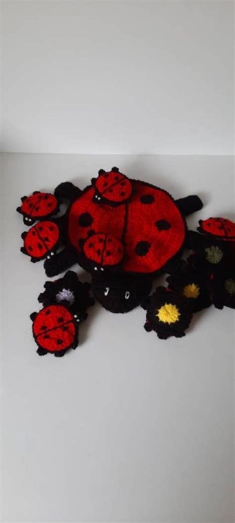 New Ladybug Memory Game Toy Board Game Includes Mommy Ladybug And 12