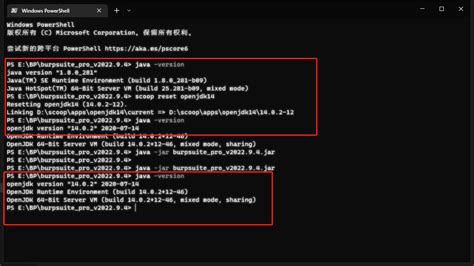 Burp Suite 202294 最新版本下载教程burpsuite下载 Csdn博客