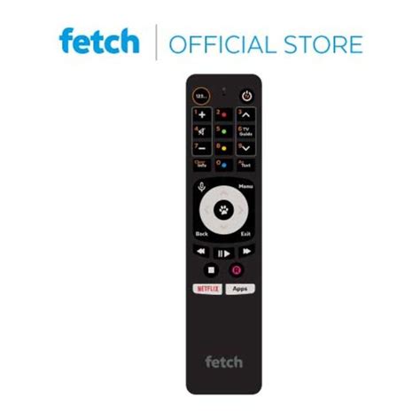 The Fetch Bluetooth Voice Remote Big W