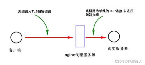nginx实现tcp代理并支持tls加密实验 nginx tls csdn博客