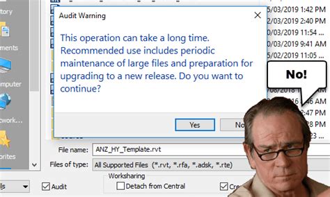 fatal error revit au