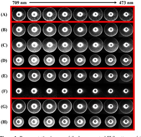 figure 3 from bacterial colony phenotyping with hyperspectral elastic