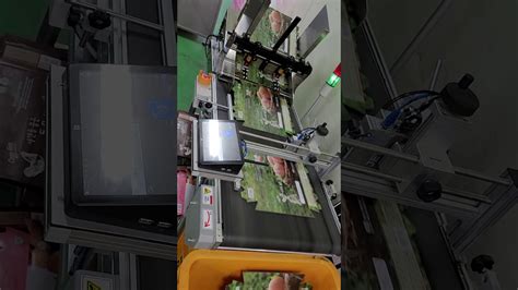 오토피더기 계란판 종이덮개 잉크젯마킹기 보우팩 포장기계 010 9053 1278 Youtube