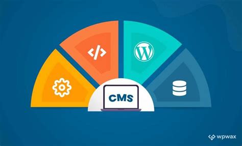 Why Should You Use Cms 7 Solid Reasons