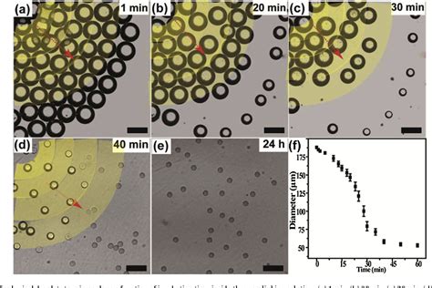 Figure 4 From Microfluidic Fabrication Of Shape Tunable Alginate Microgels Effect Of Size And