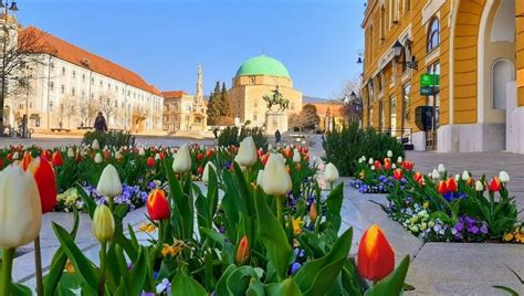 Várostörténet Városunk Pécs