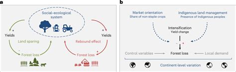 framework for assessing how agricultural intensification relates to