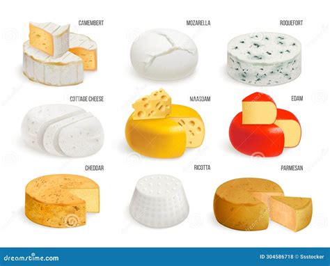Realistic Cheese Types Various Cheeses Collection Brie Gouda Parmesan Cheddar Mozzarella