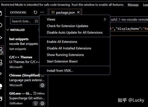 python 离线内网配置远程vscode server及插件成功经验以及踩坑总结 知乎