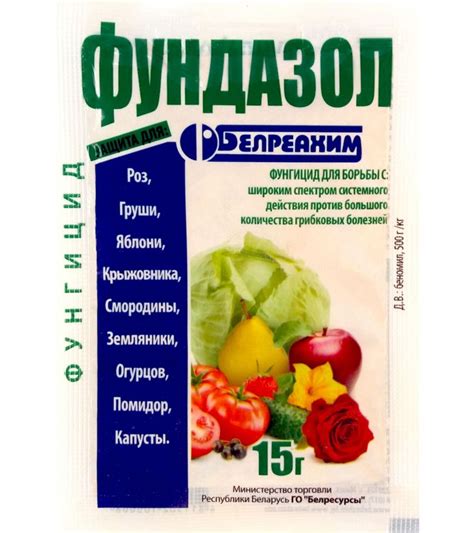 Фундазол: инструкция по прмиенению универсального фунгицида