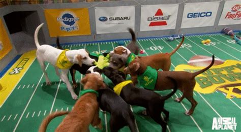 Puppy Bowl 2023 S