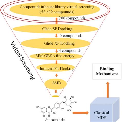 Schematic Representation Of The Computation Workflow Adopted In The