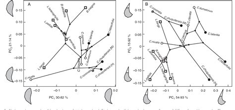 Figure 5 From Exploring The Ontogenetic Scaling Hypothesis During The