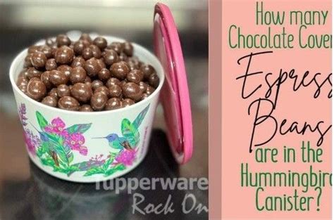 Tupperware Game Chocolate Covered Tupperware Chocolate