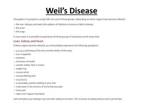 Case Study Leptospirosis Pptx