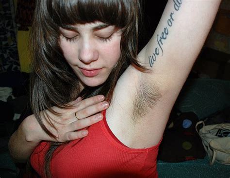 Photo Gallery 6800 Hairypussylicker