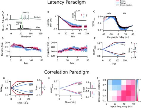 With Stochastic Release Presynaptic Plasticity Typically Promoted