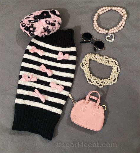 Hep Cat Modeling Session Summers Fabulous Cat Life