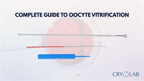 Complete Guide To Oocyte Vitrification Ivf Labs And Fertility Clinics