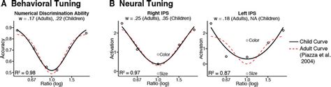 A B Numerical Tuning Curves For A Numerosity Discrimination Task A Download Scientific