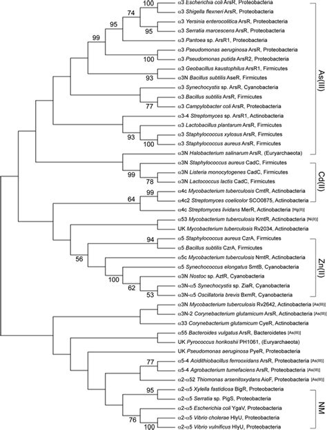 A Phylogenetic Tree Bootstrap Consensus Tree Of The 46 Sequences Download Scientific Diagram