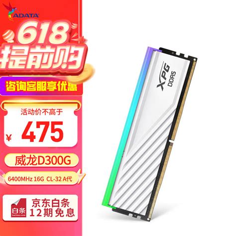 威刚（adata）xpg 适配9800x3d xmp expo 龙耀d300g rgb灯条 海力士a代颗粒 m代颗粒 ddr5内存条 台式机内存条 龙耀d300g 6400 16g cl32白