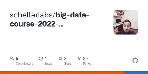 GitHub Schelterlabs Big Data Course Assignments