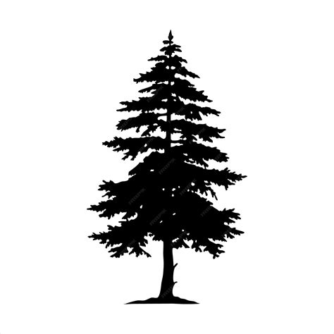 Premium Vector Cedar Tree Silhouettes Vector Illustration Isolated On White Background