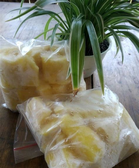 Singkong Keju Frozen Resep Makanan Resep Makanan