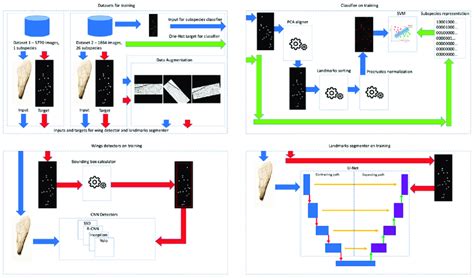 Modeling Of The Setup To Obtain The Final Solution The Datasets Download Scientific Diagram