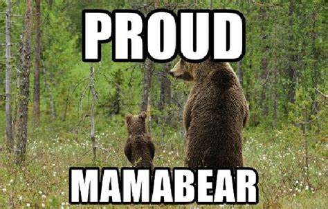 Funny Proud Mom Meme Humourew