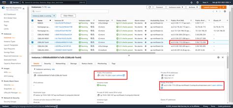 Why It Isnt Re Assigned A Public Ip Address And Public Ip Dns For A