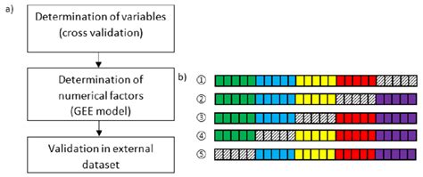 Steps Of Formula Development And Cross Validation A The Flow Chart Download Scientific