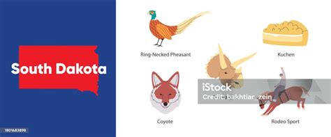 사우스 다코타 주지도 모양 기호 로데오 트리케라톱스 반지 목 꿩 코요테 미국 국가 그림 개척시대의 서부에 대한 스톡 벡터 아트 및 기타 이미지 개척시대의 서부 공룡