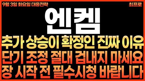 엔켐 주가전망 추가 상승이 확정인 진짜 이유 단기 조정 절대 겁내지 마세요 장 시작 전 필수 시청 바랍니다 최프로 Youtube