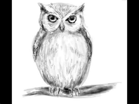 Cómo Dibujar Un Búho Realista