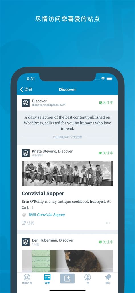 Wordpress 中文版下载 全球流行的开源 Php 博客网站建站程序 异次元软件世界