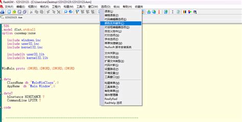 radasm更换主题 csdn博客