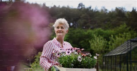 정원에서 야외에서 심은 꽃과 함께 상자를 들고 있는 선배 여성 꽃집 사진 Unsplash의 할머니 이미지