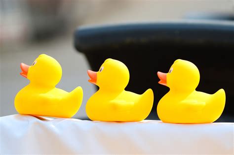 Are All Your Ducks In A Row
