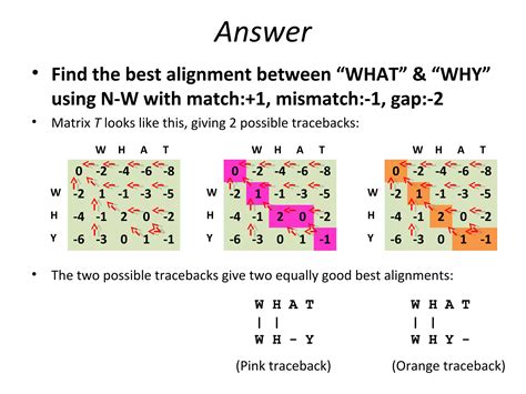 The Needleman Wunsch Algorithm Ppt