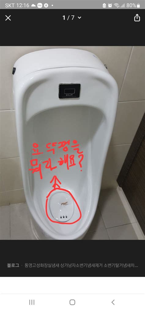 남자 소변기 지식in